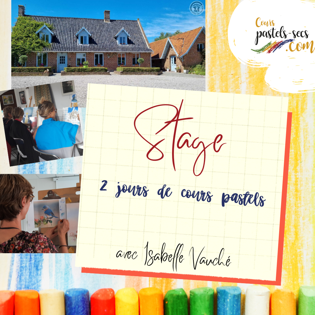 stage Nord , 2 jours de cours de pastels